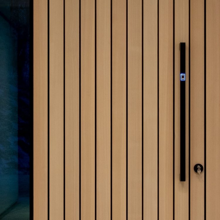 Vantage Modern Entrance Door | Ecovia